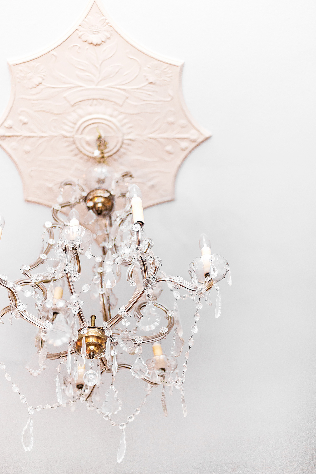 Thomas Rook - Little Fashion Paradise